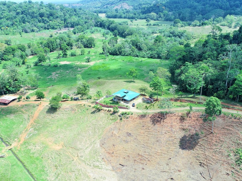 Farm With A Three Br House In Tropical Country Setting Puntarenas